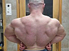 Shelby Starnes v přípravě na Wings of Strength Chicago 2014