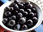 Volné radikály, antioxidanty a sportovní aktivita (II.)